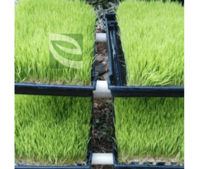 Hydroponic Wheatgrass Unit - Emesh Farms Technik