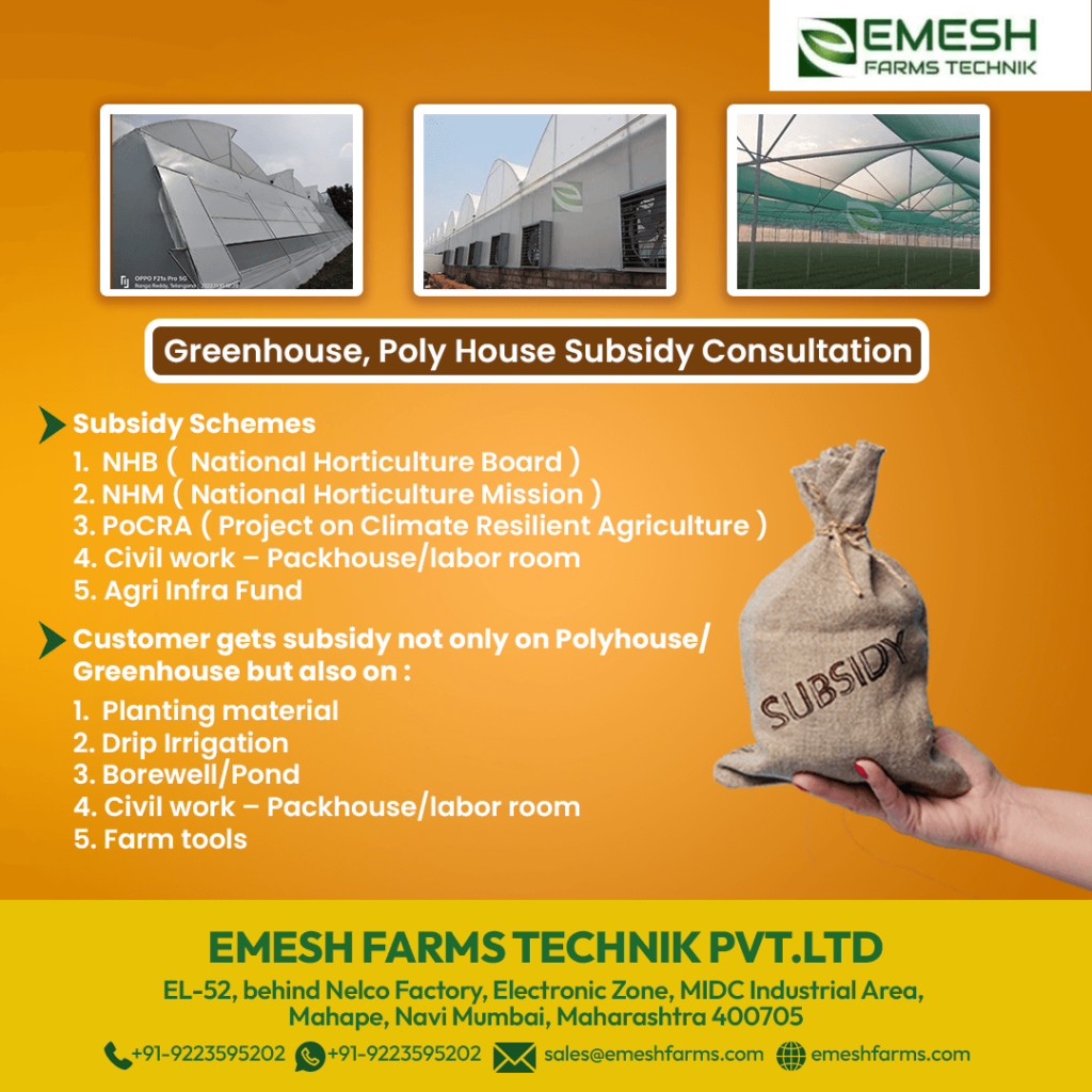 Greenhouse Poly House Subsidy Consultation - Emesh Farms Technik