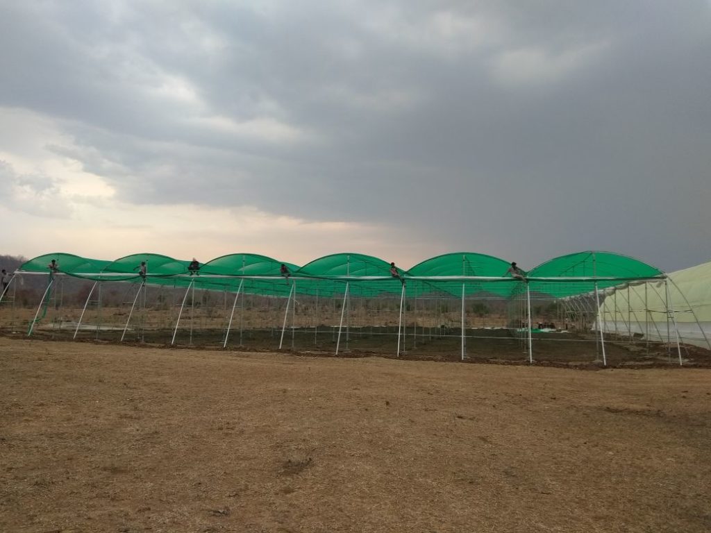 Shade Net House - Emesh Farms Technik