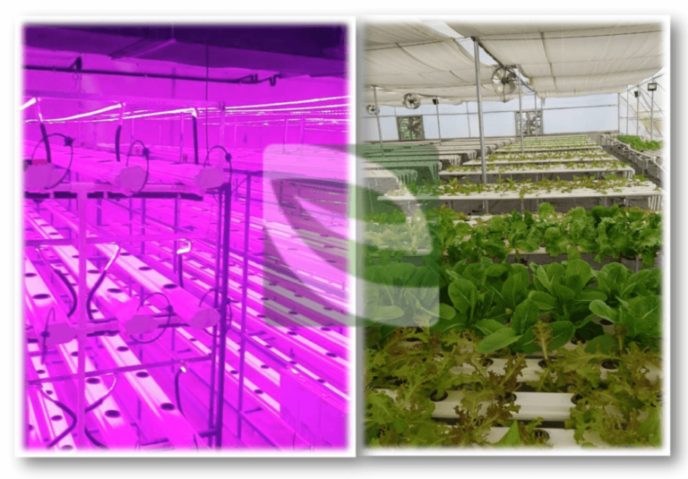 hydroponic indoor outdoor setup - Hydroponic Farm